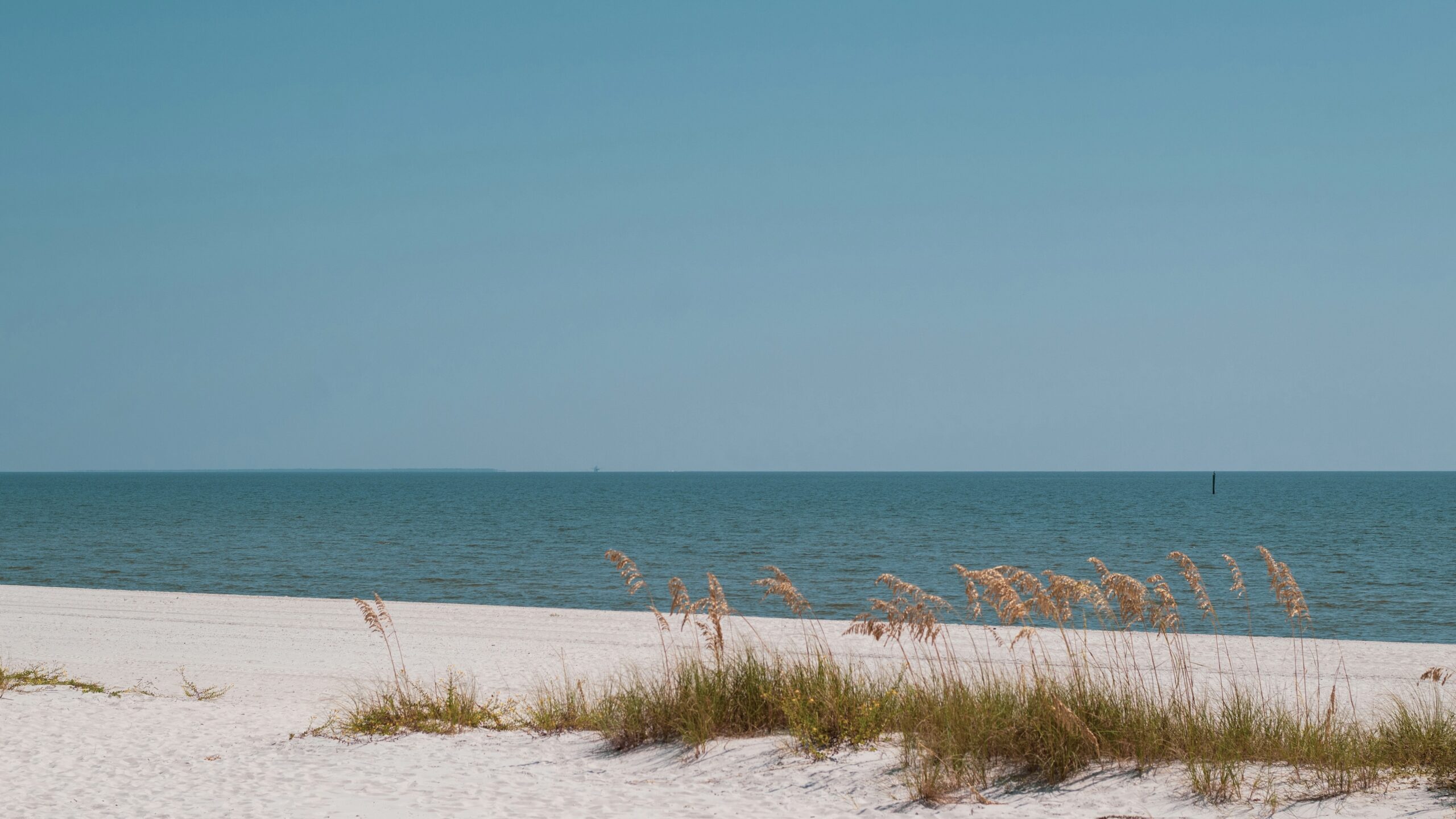 Mississippi Beaches | The Top Beaches to Visit in MS