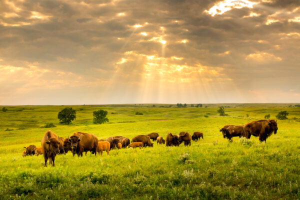 The Ultimate Guide to RV Camping in Kansas | RVshare
