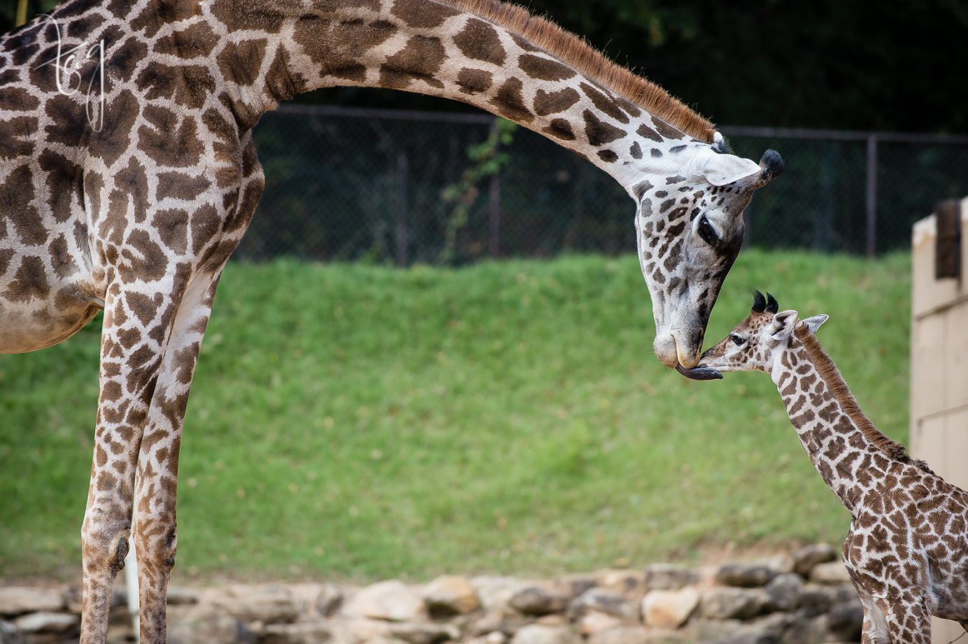 The 10 Best RV Trips To Take In South Carolina - Must See!