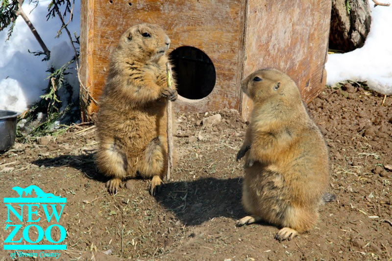 The 10 Best RV Trips to Take in Wisconsin | RVshare