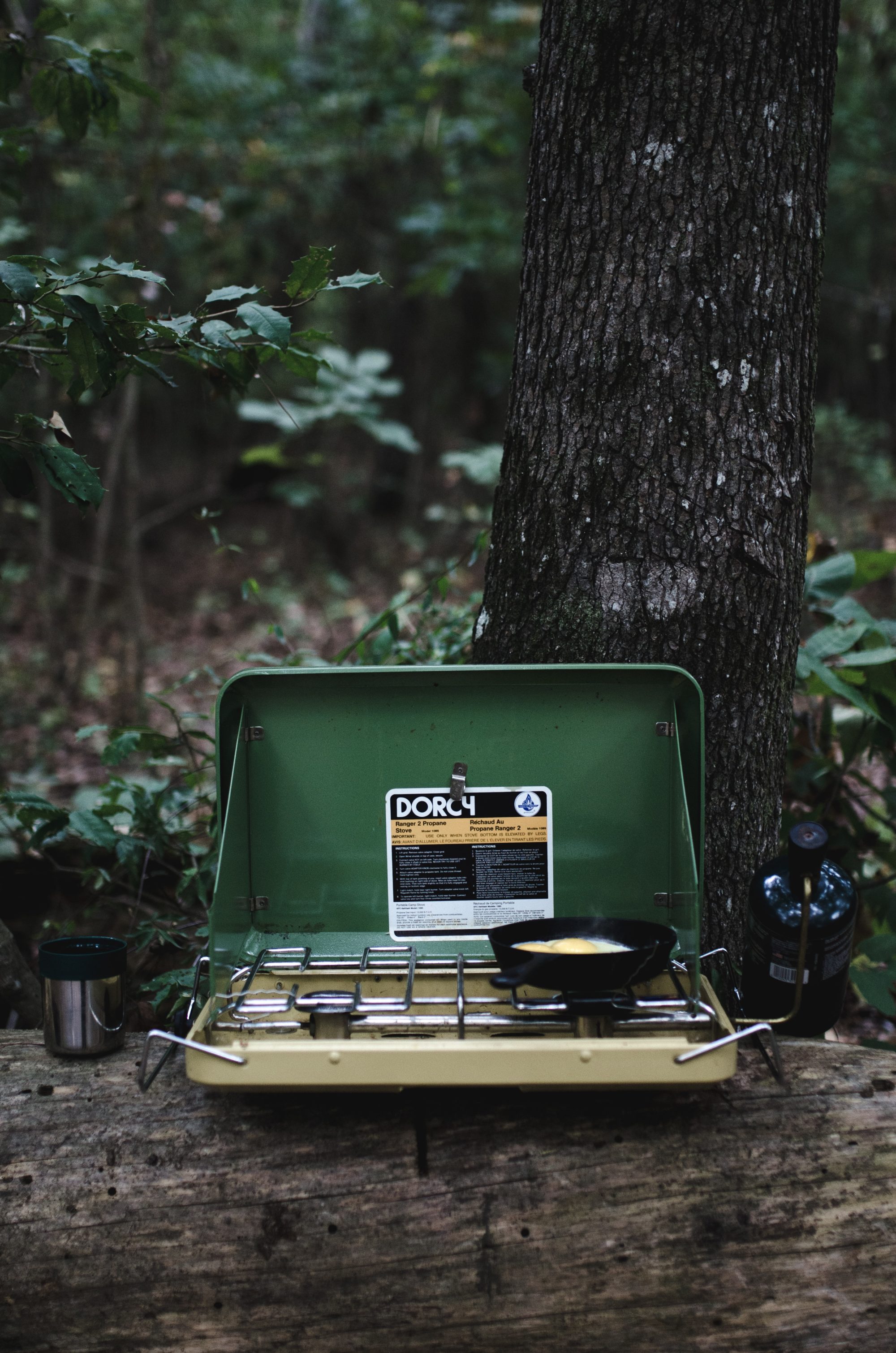 The Grillmaster's Guide to RV Cooking - RV Grilling | RVshare