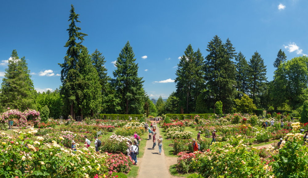 The Best X Beautiful Public Gardens Across the U.S!