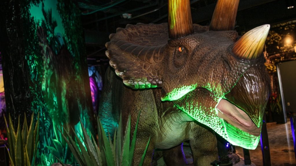 The Top 15 Phoenix Family Activities | RVshare
