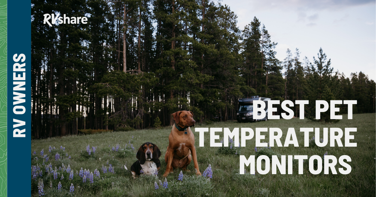 The Best Pet Temperature Monitors for Your RV | RVshare