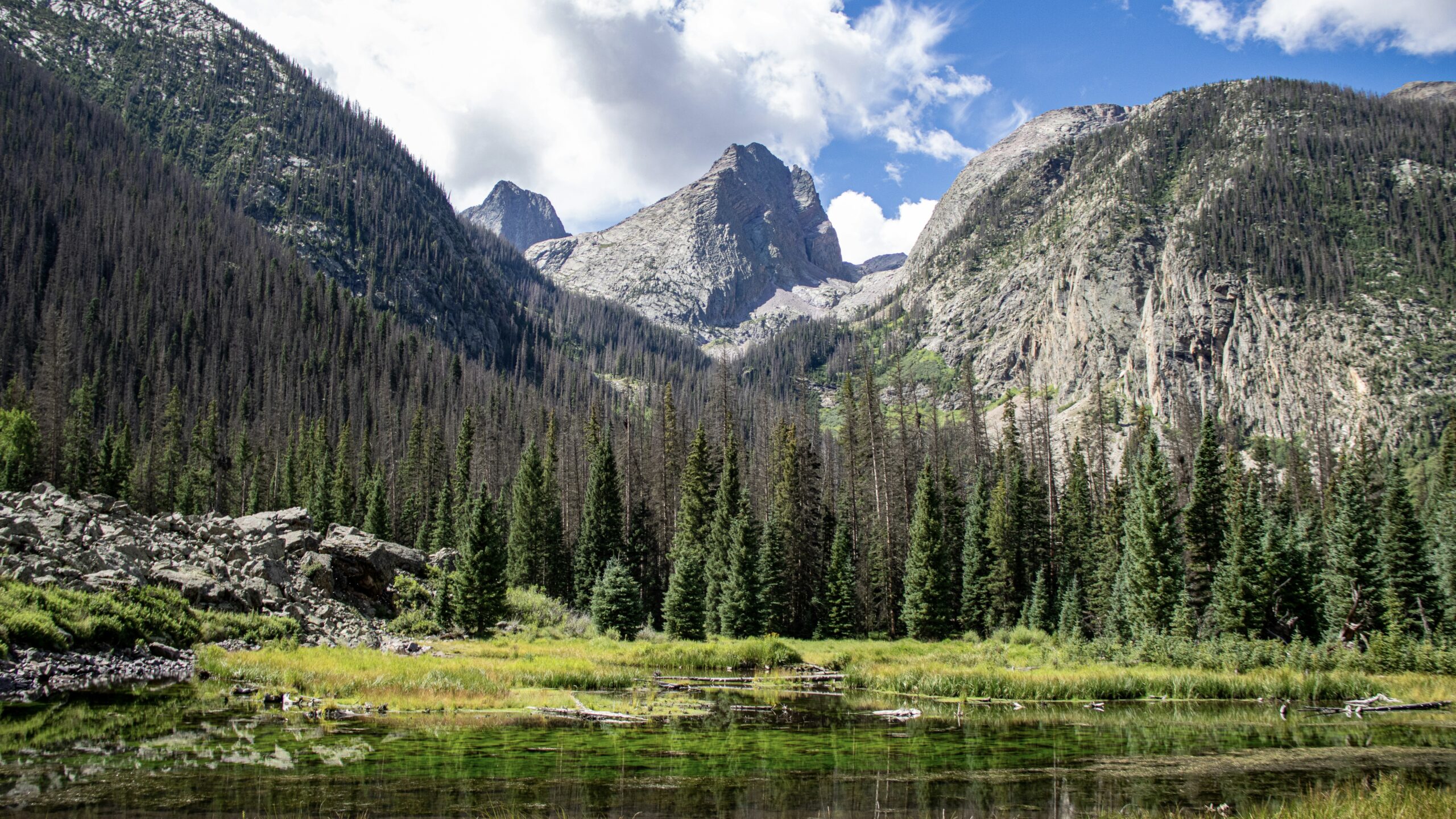Boondocking in Colorado | Top Spots in CO for Free Camping