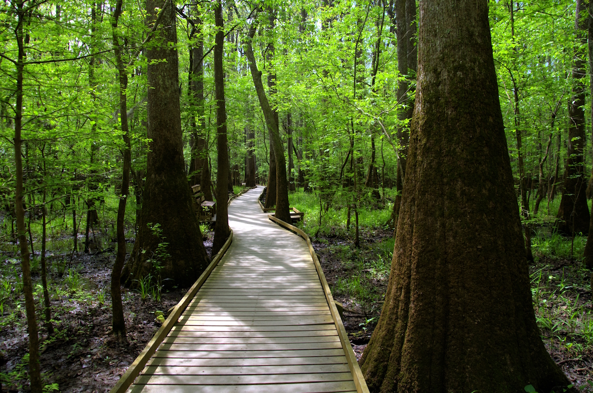 Top 10 Landmarks in South Carolina | RVshare