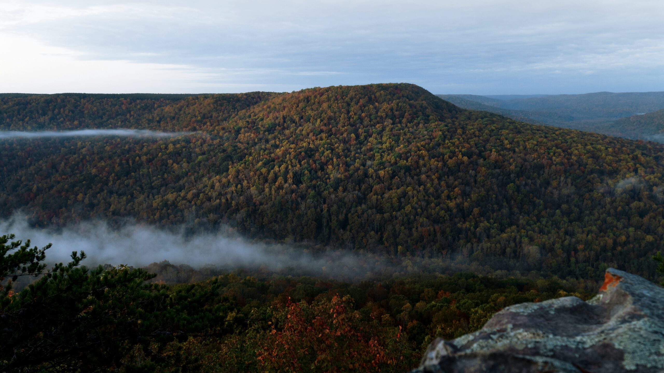 Boondocking in Tennessee | Top Spots in TN for Free Camping