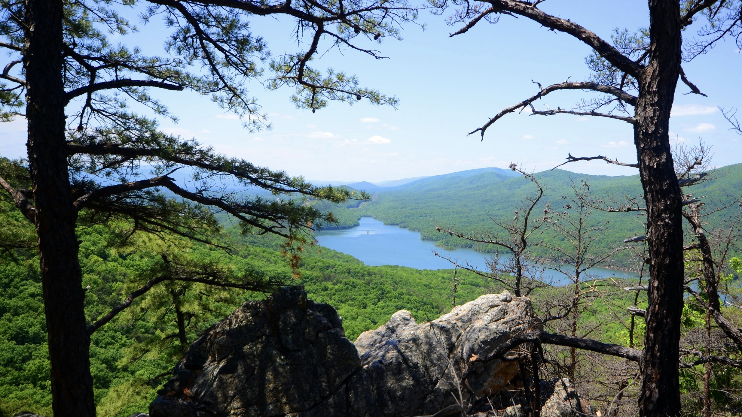 Boondocking in Virginia | Top Spots in VA for Free Camping
