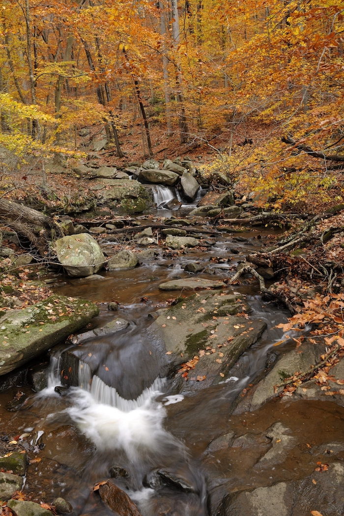 Top 10 Waterfalls in New Jersey | RVshare