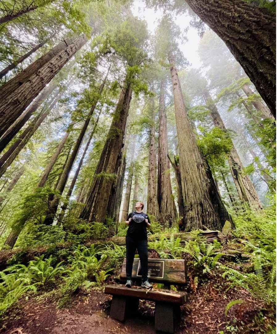 A 3 Day Itinerary For Redwoods National And State Parks In Northern