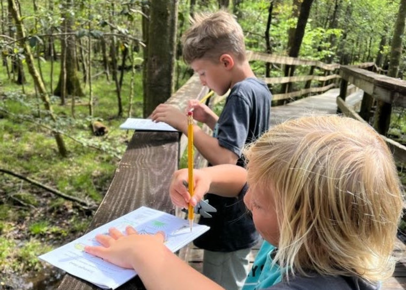 How Your Kids Can Become a Junior Ranger with Happy Trails Family | RVshare