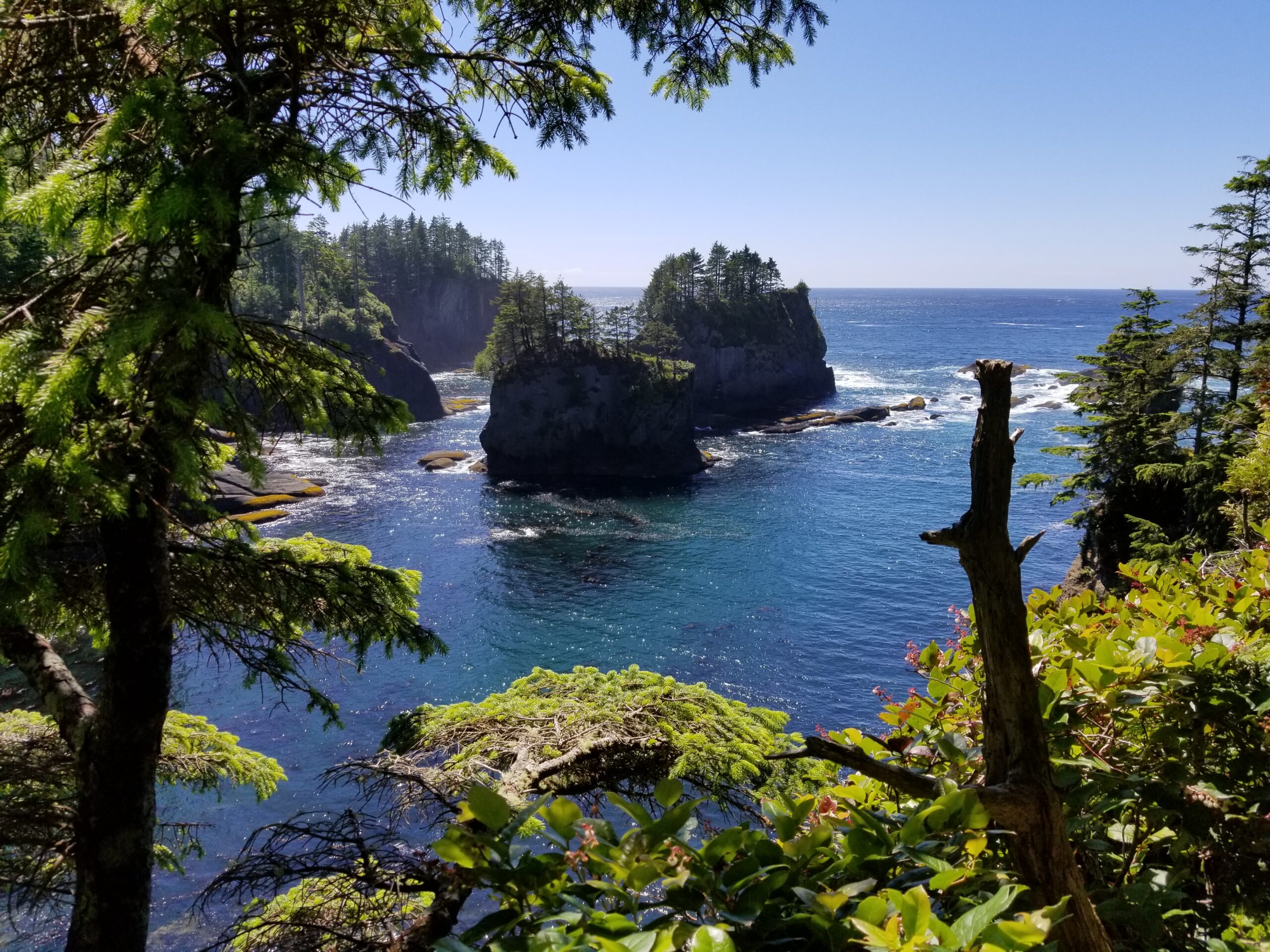 The Top 9 Scenic Byways in Washington | RVshare