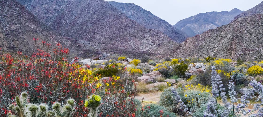 7 Isolated State Parks for When You Want to Camp in Peace